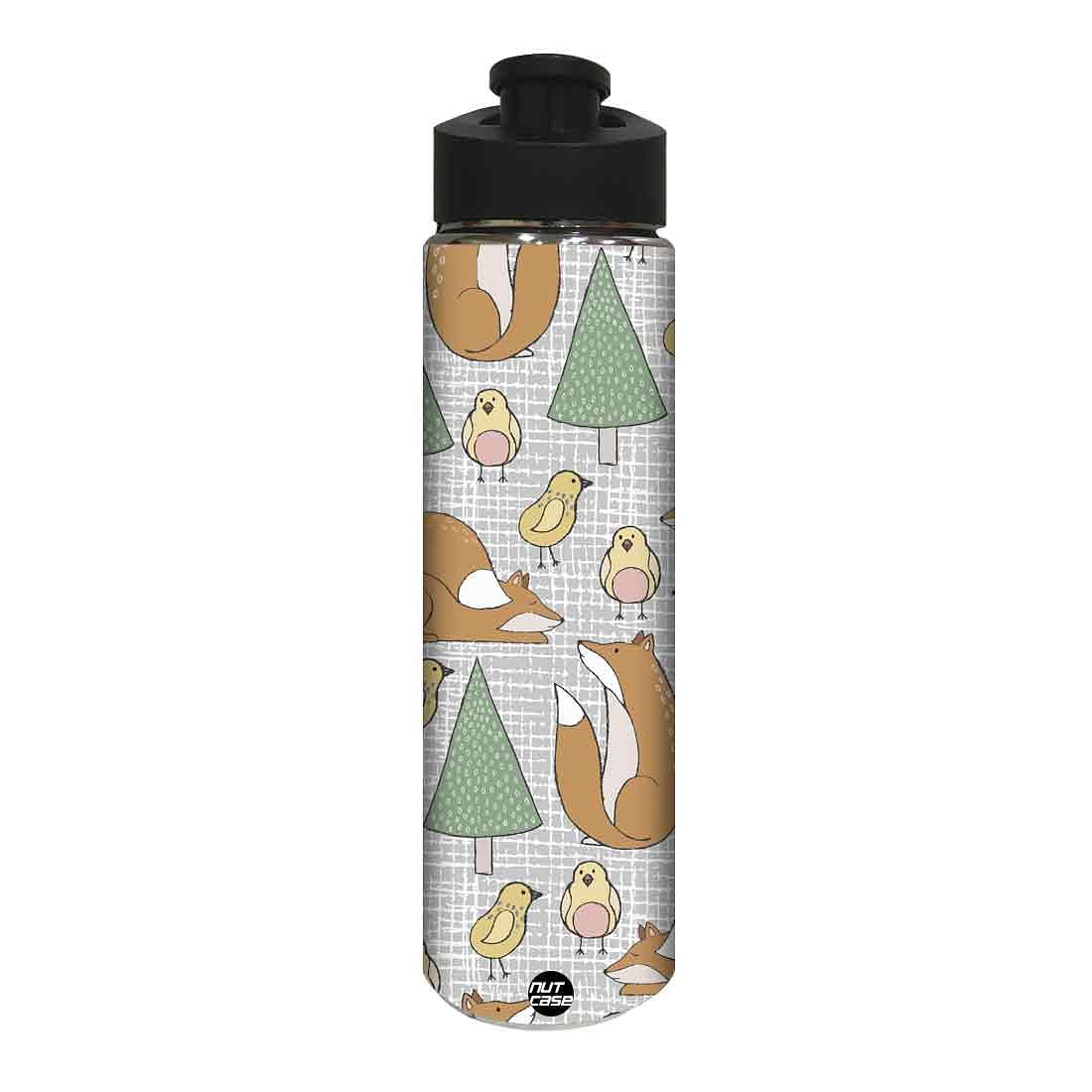 Get Designer Sipper Bottle for Kids Online in India – Nutcase